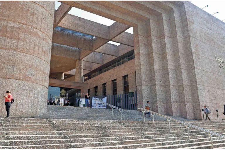 Fauna nociva invade Poder Judicial; urge fumigación